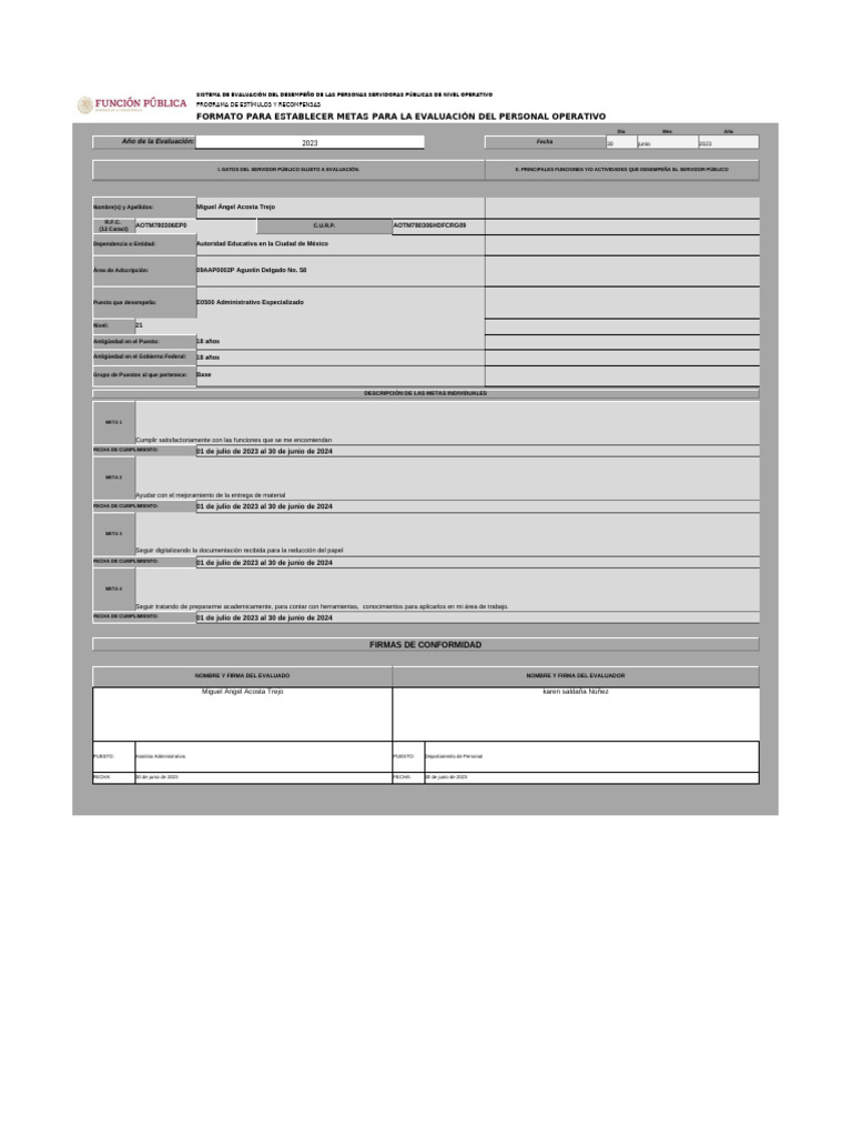 01 - Formato - para - Establecer - Metas 2023 | PDF