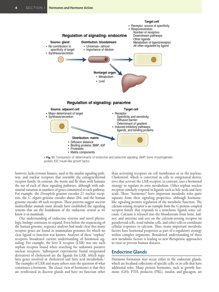 Chapter 1_Part2 | PDF