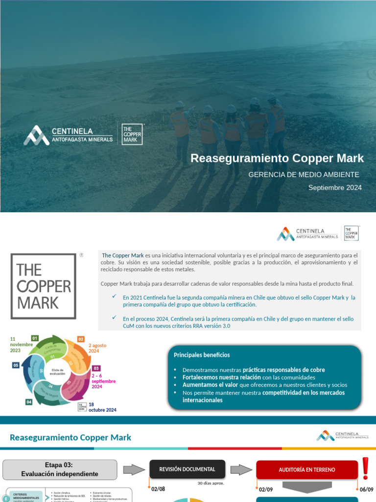 Copper Mark - DPRF | PDF