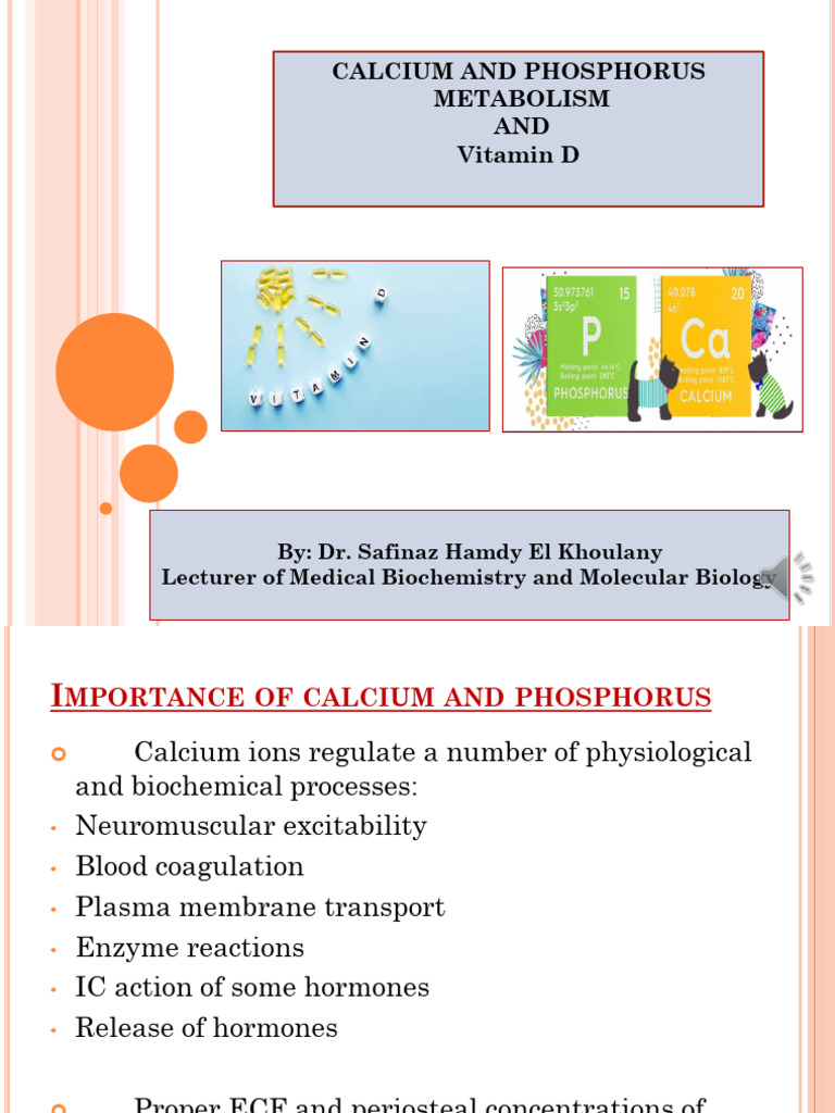 Calcium, Phosphorus, and Vitamin D Metabolism | PDF | Calcium In ...