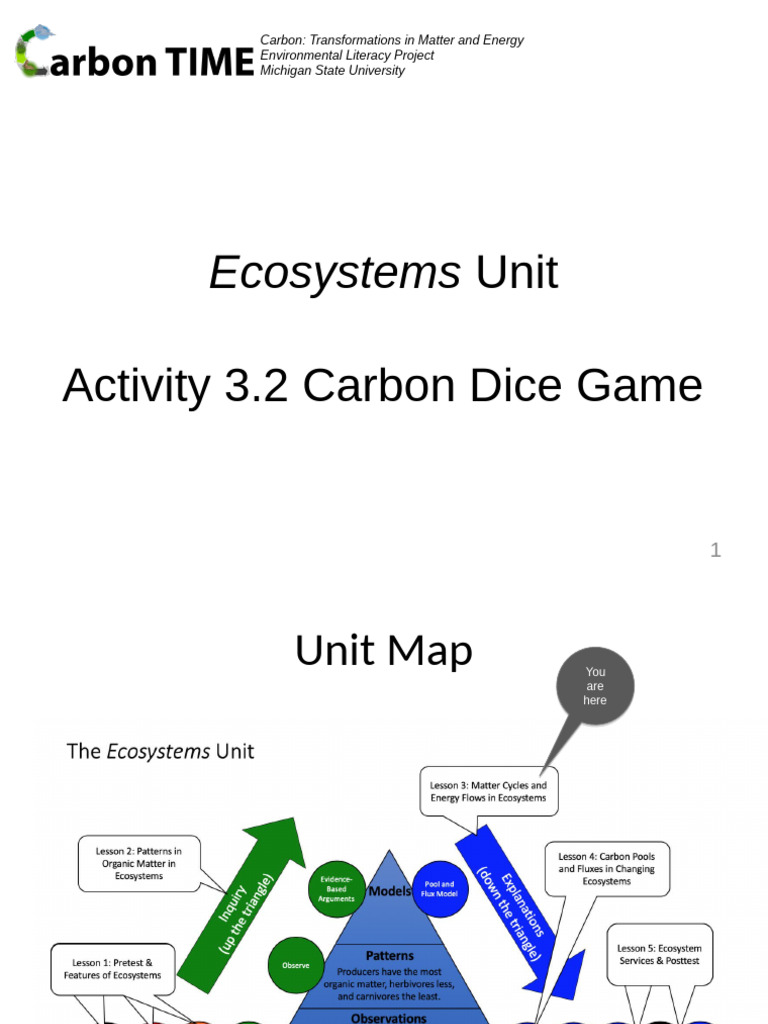 3.2 The Carbon Dice Game | PDF