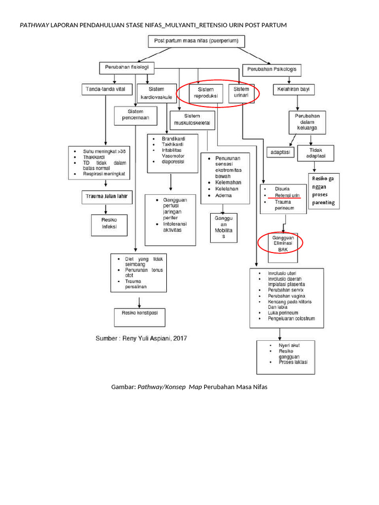 Gambar Pathway - Mind Map LP Yanti - Retensi Urin Ms Nifas | PDF