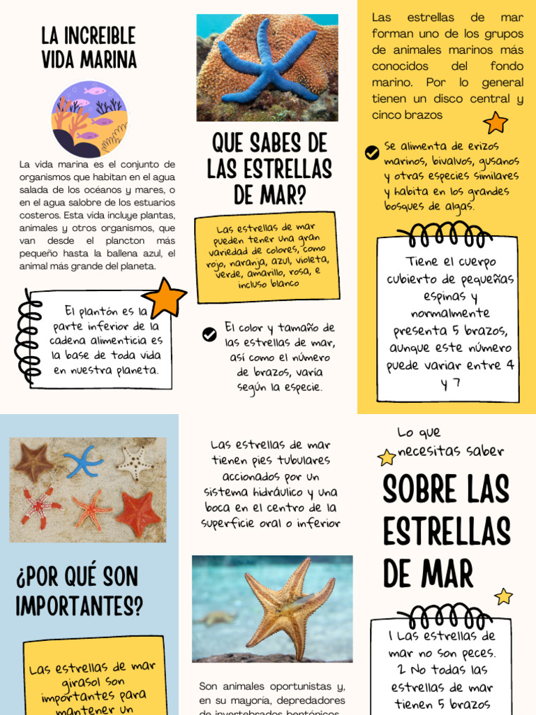 Triptico Vida Marina | PDF