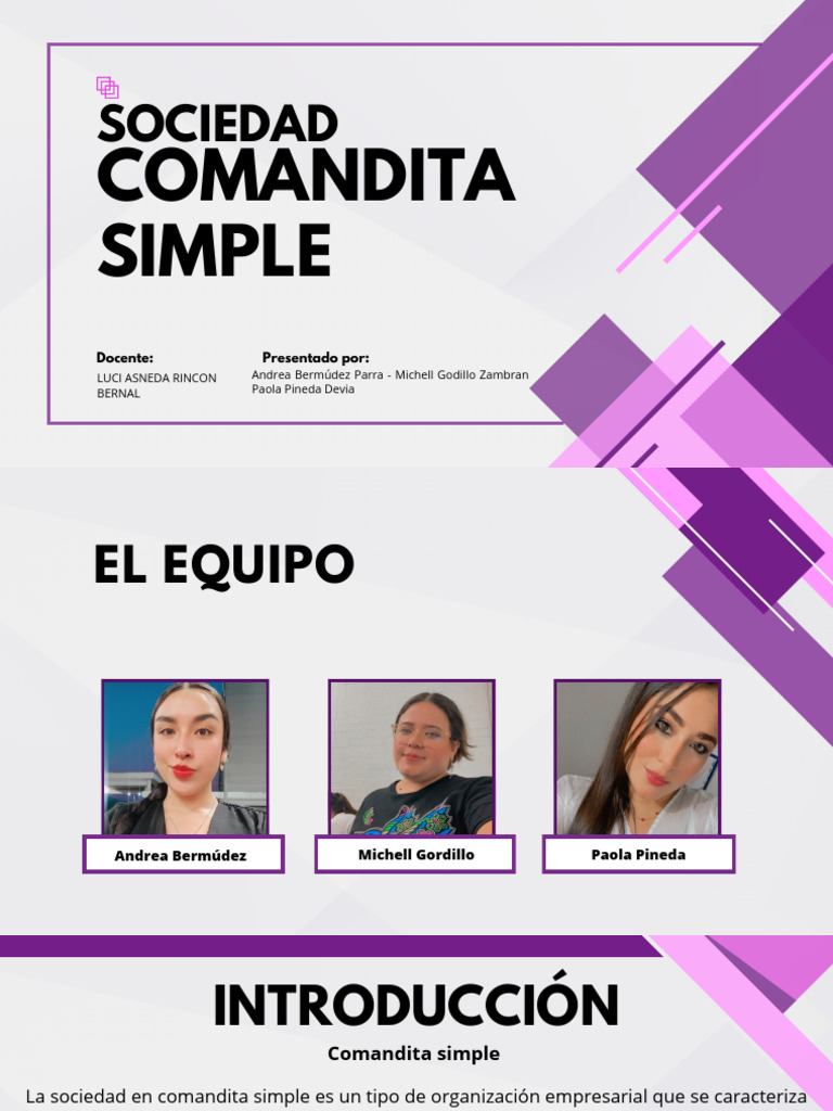 Sociedad Comandita Simple | PDF