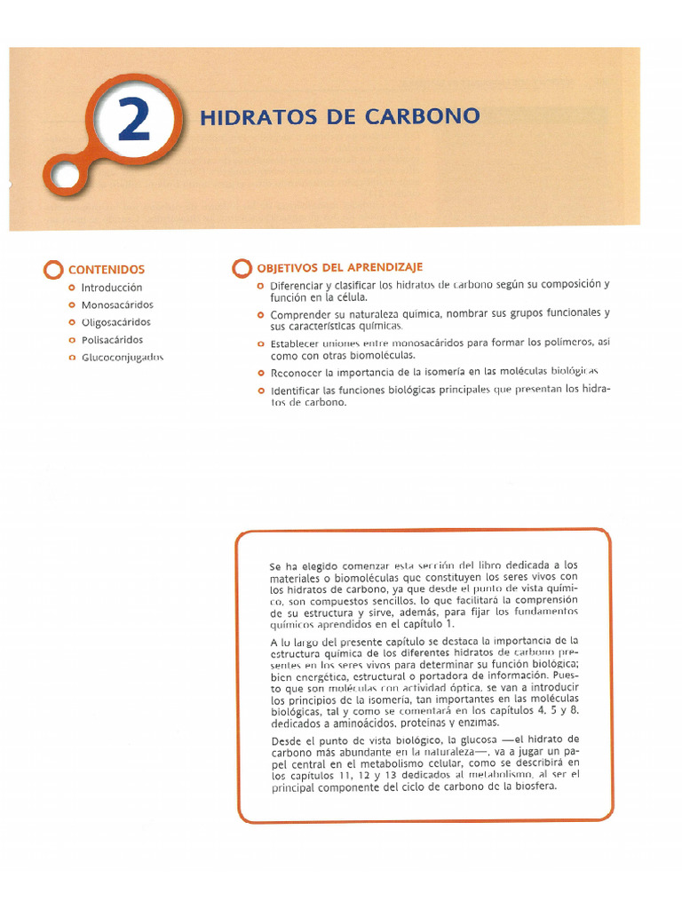 C3 - Lectura Introductoria - Carbohidratos | PDF