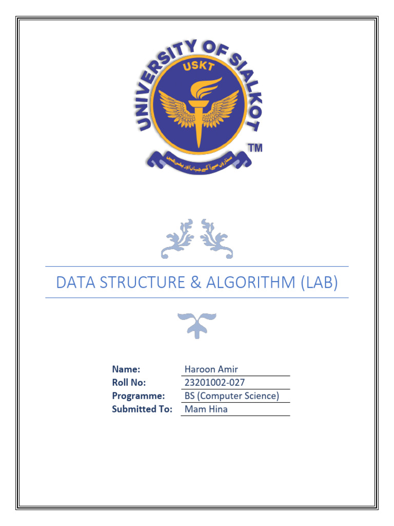 Haroon 23201002-027 DSA Lab | PDF