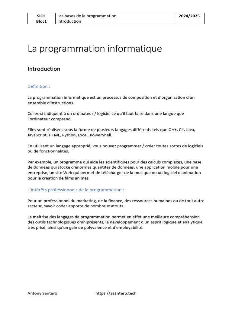 La Programmation Informatique | PDF | Programmation informatique | Art