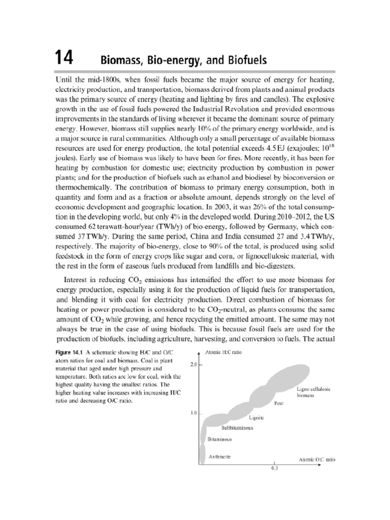 07 Biomass and Bioenergy | PDF