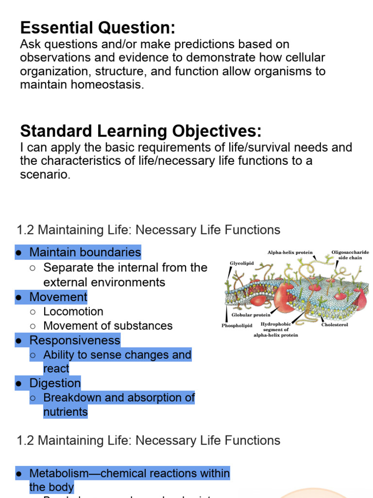 1.2 Maintaining Life Notes | PDF