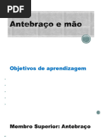 Músculo Abdutor Longo Do Polegar - Origem, Inserção - Kenhub | PDF ...