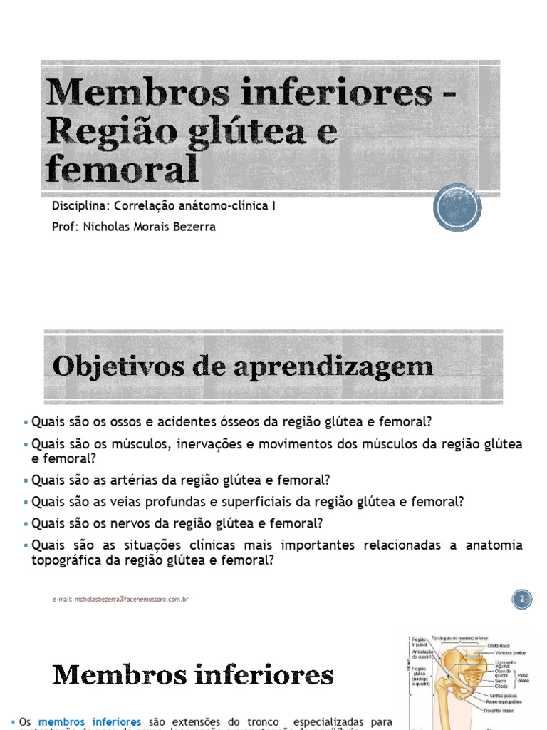 Membros inferiores - aula 1 | PDF