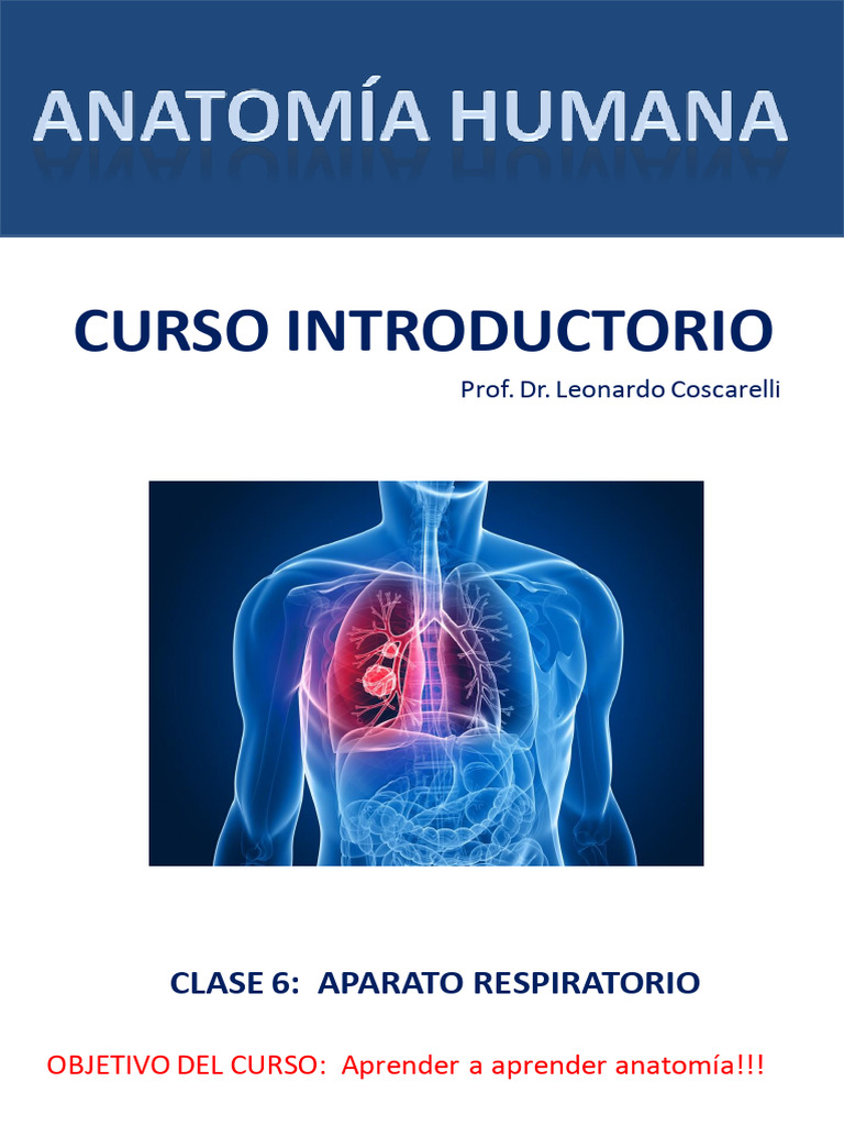 Cuadernillo 6.pdf | PDF