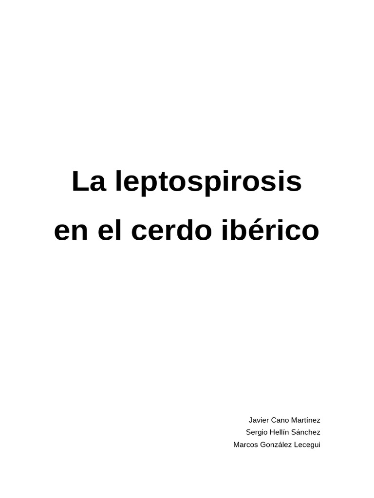 Trabajo Materias - Chetado | PDF