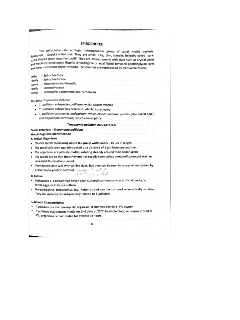 Syphilis Microbiology | PDF