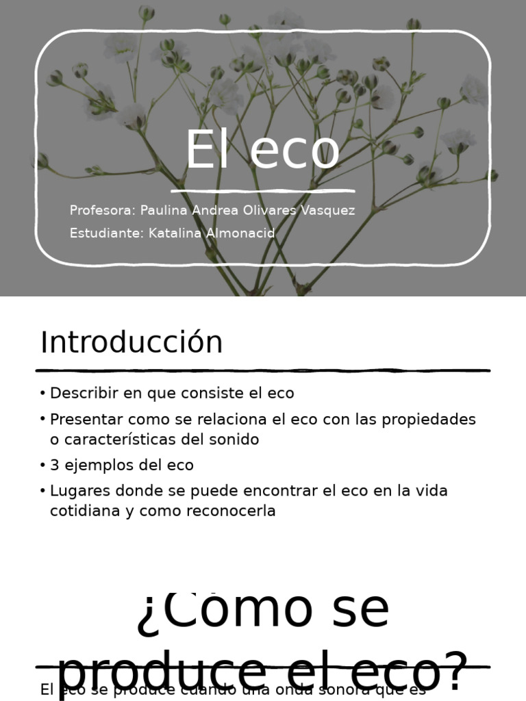 El eco | PDF