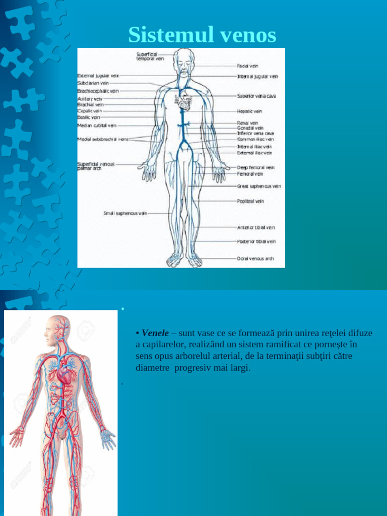 Sistemul Venos | PDF