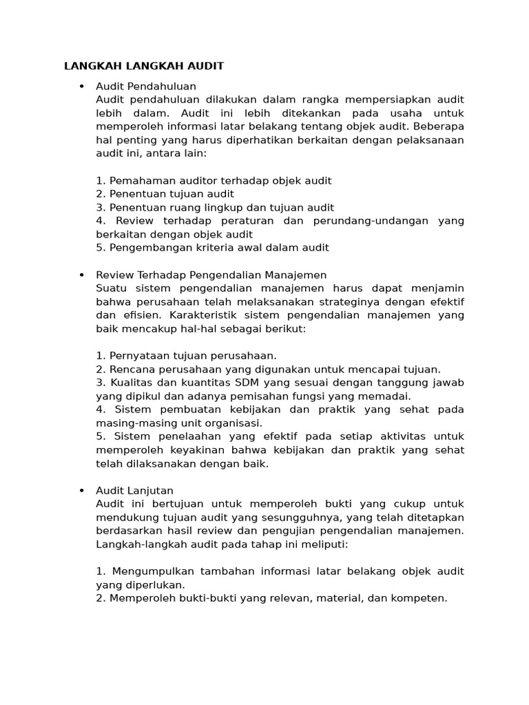 Langkah-Langkah Audit | PDF