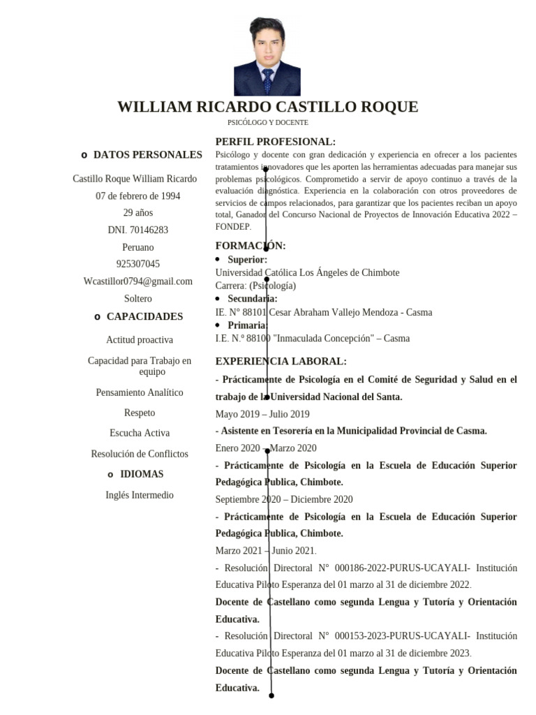 Curriculum Vitae 2024 Castillo Roque William Ricardo | PDF