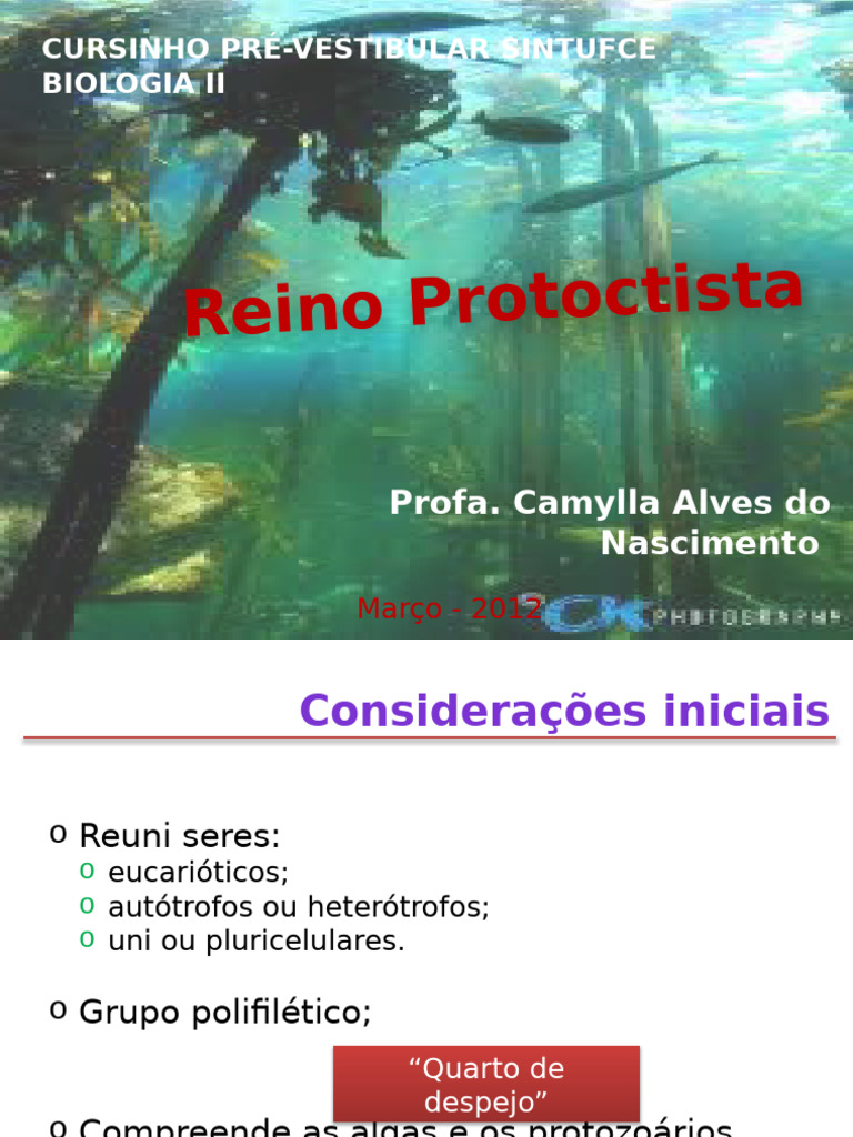 Reino Protoctista | PDF