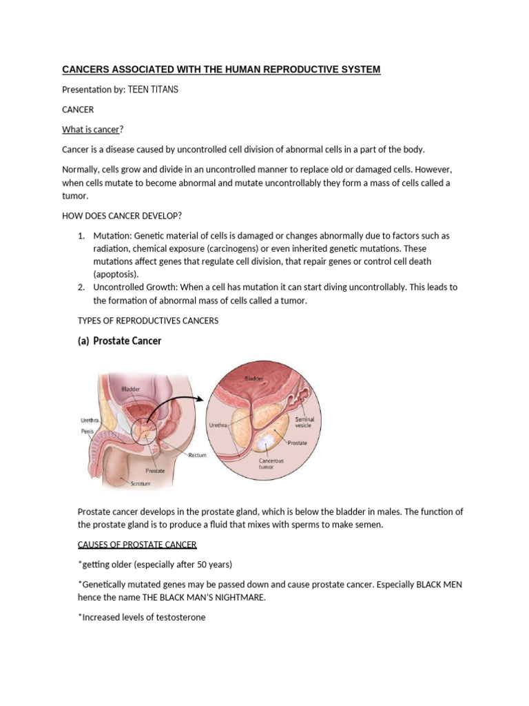 Cancers Associated With The Human Reproductive System | PDF