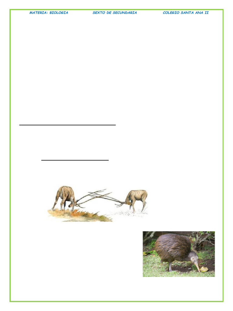 Tema 22 Teorias de La Evolucion | PDF