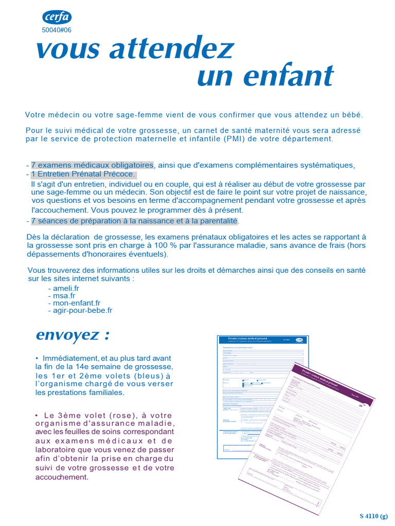 Cerfa 10112-06 | PDF