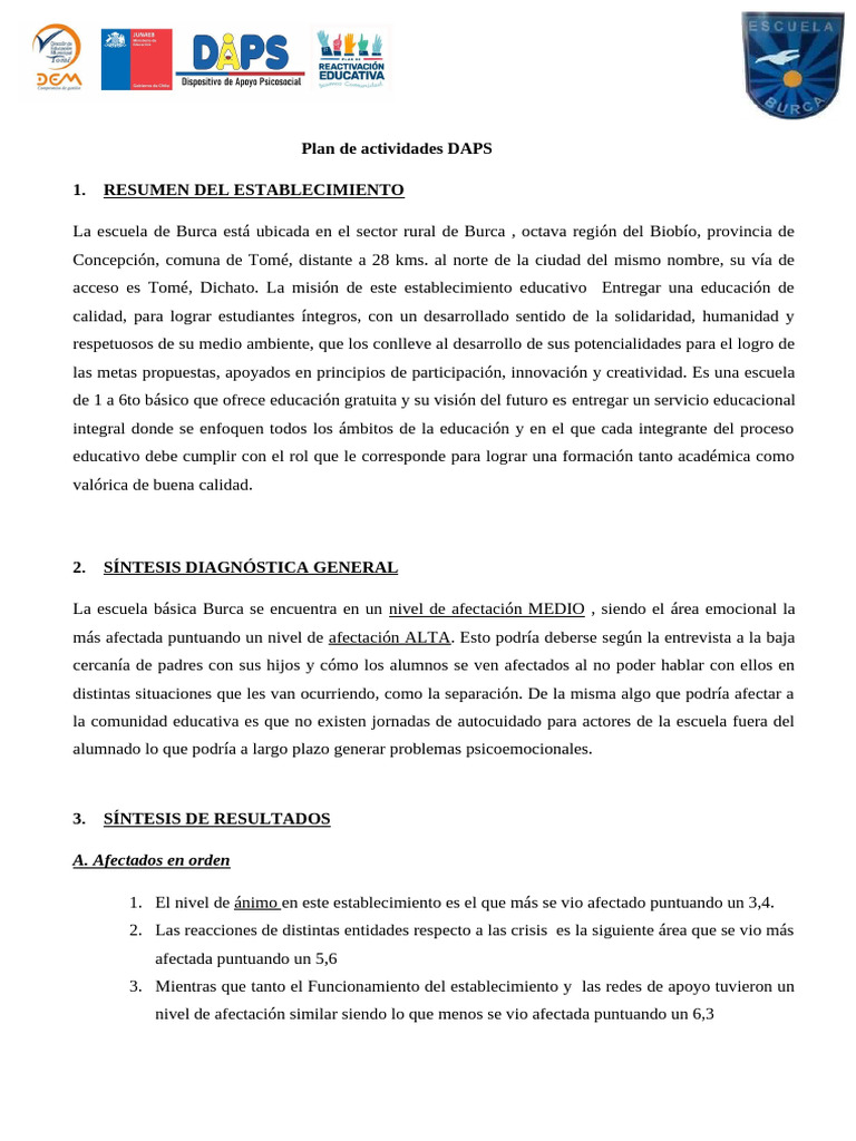 Plan de Actividades BURCA | PDF