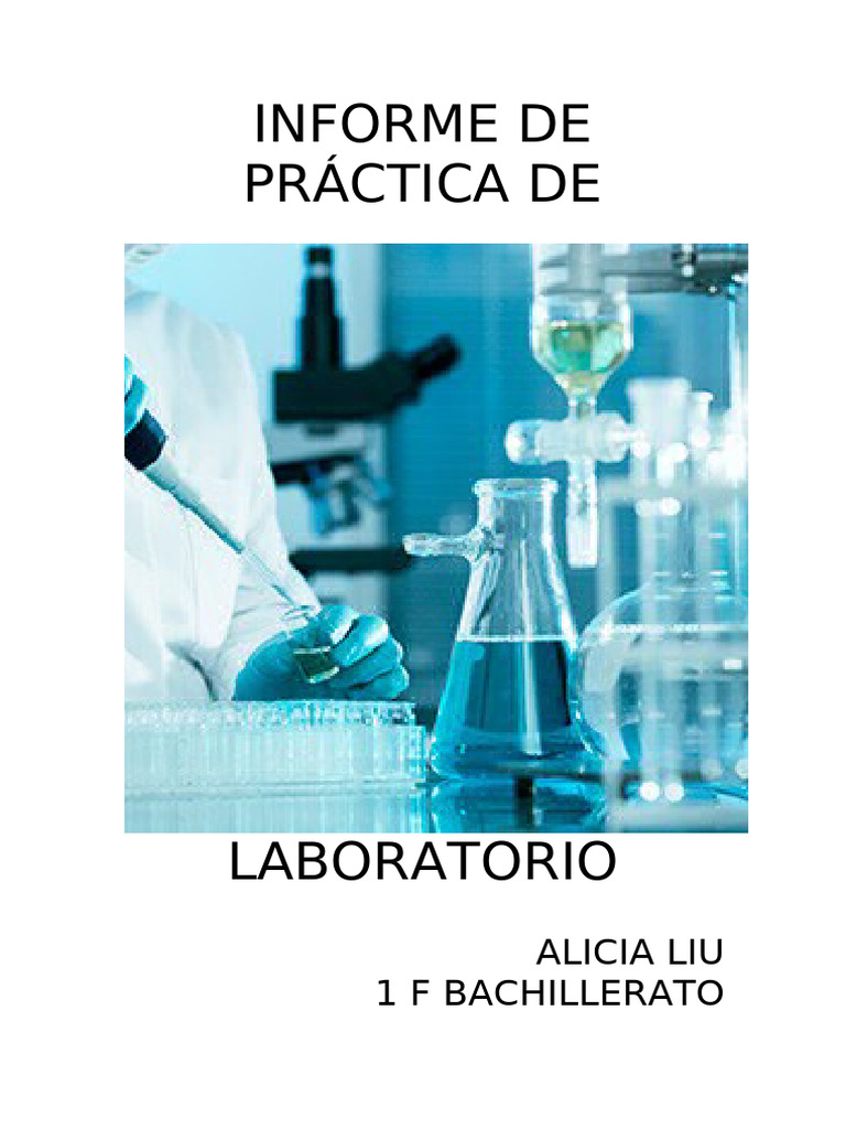 Informe Lab | PDF