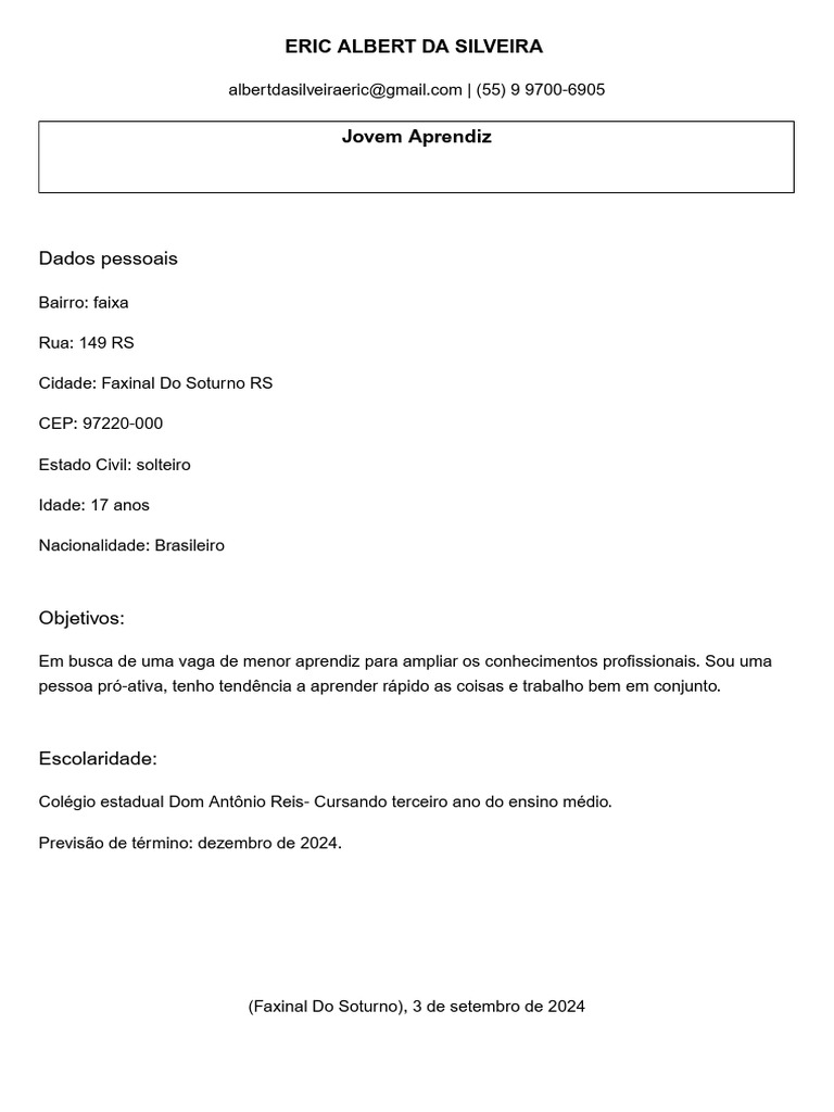 Curriculo Template - Docx 20240912 202134 0000 | PDF