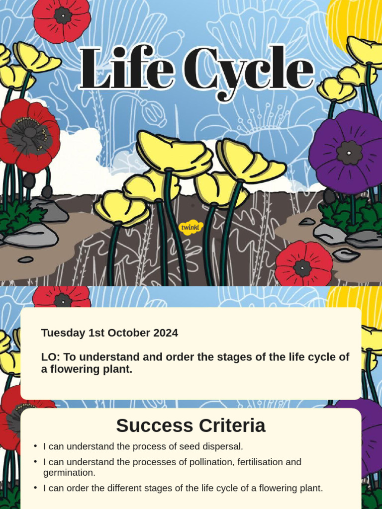 Lesson Presentation Life Cycle | PDF