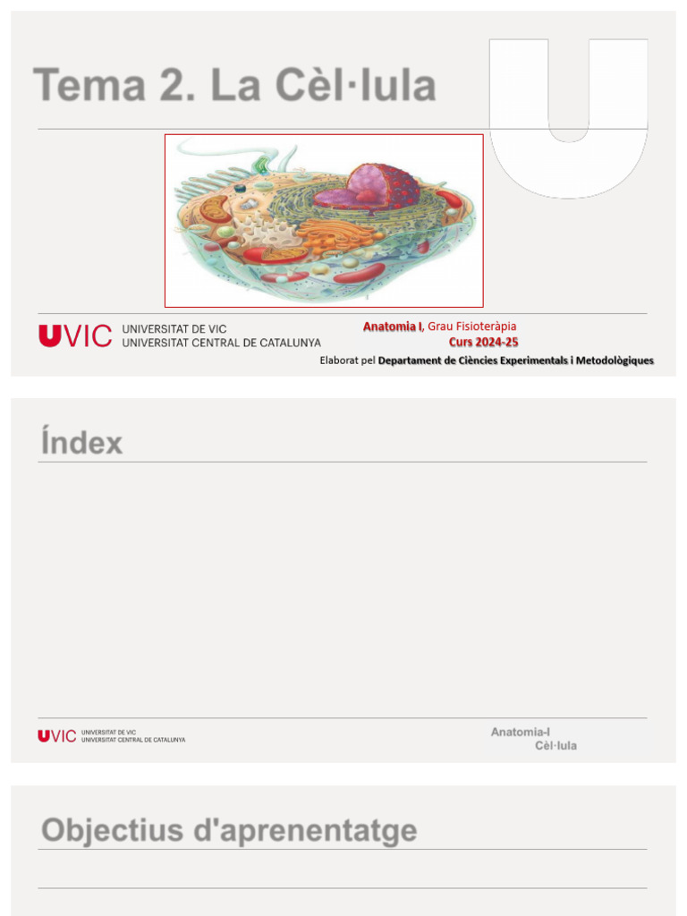 Tema 2 La Cèl Lula Curs 24-25 | PDF