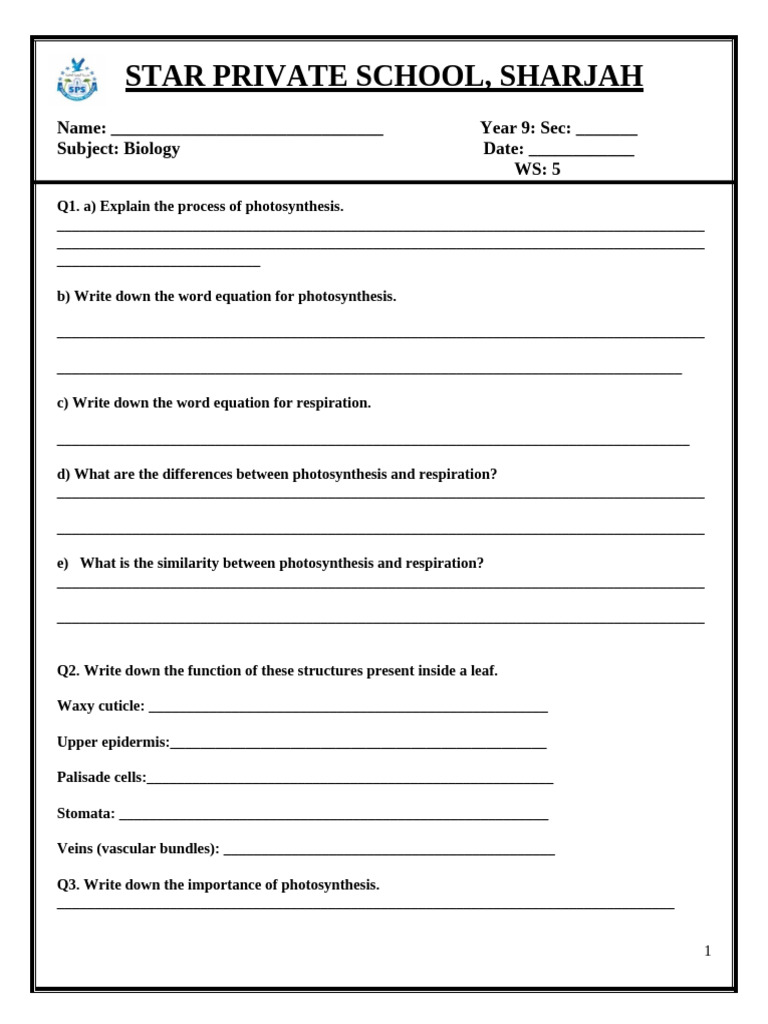 Year 9 Worksheet-05 Unit 1 Photosynthesis and Carbon Cycle. | PDF