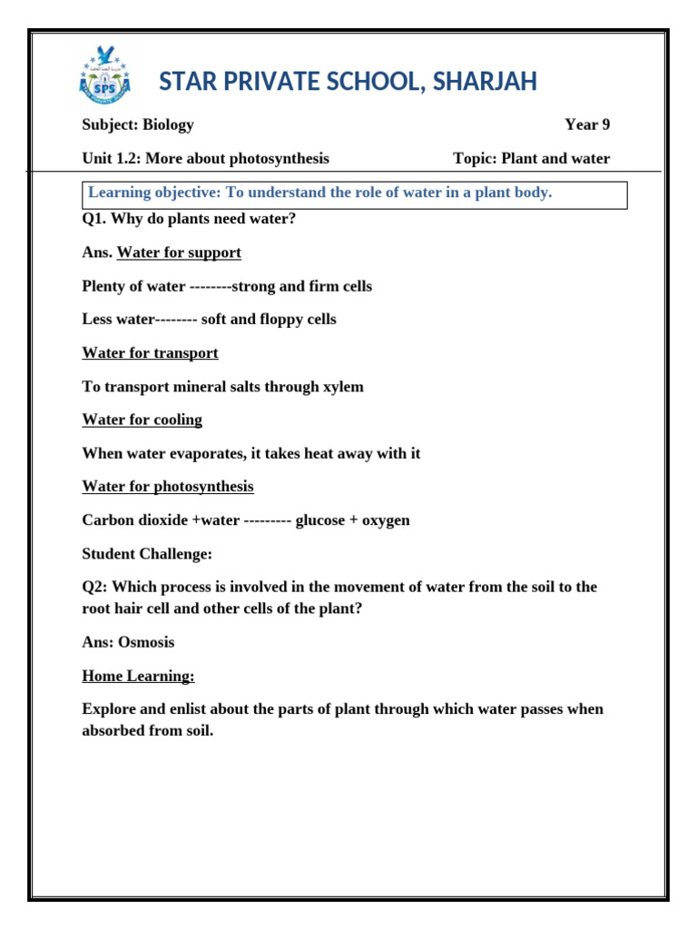Year 9 Notes-04 Unit 1.2 Plants and Water | PDF