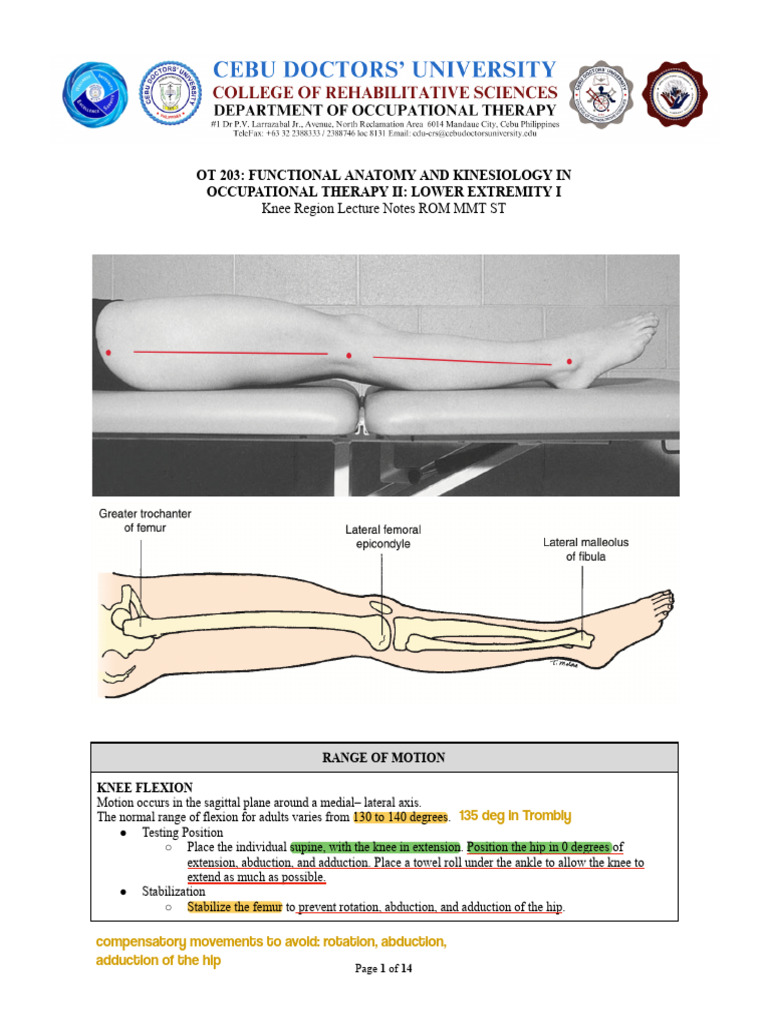 Ot 203 Lecture Notes - Knee Region 1 | PDF