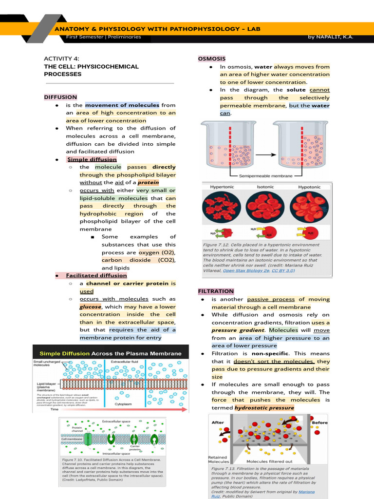 MLS (ANAPHY) - LAB - PRELIMS Activity #2 - THE CELL - PHYSIOCHEMICAL ...