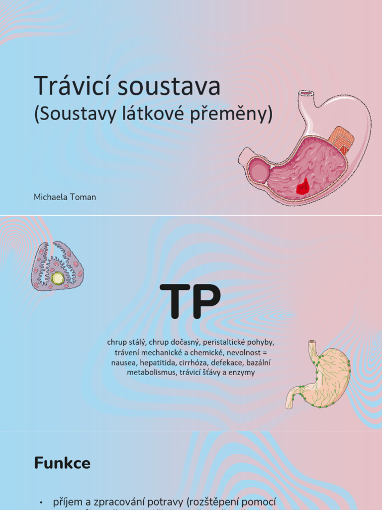 trÃ¡vicÃ Soustava | PDF