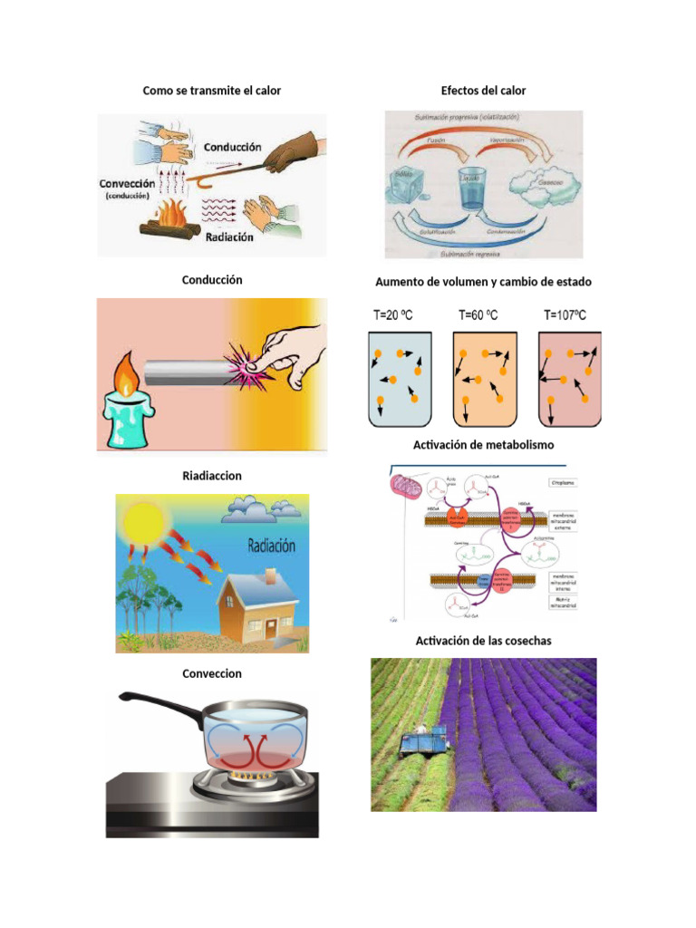Imagenes Como Se Transmite El Calor | PDF