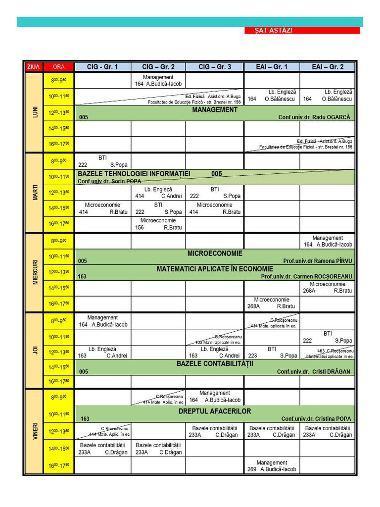 Orar Anul I - 2024-2025 Sem I v3 | PDF