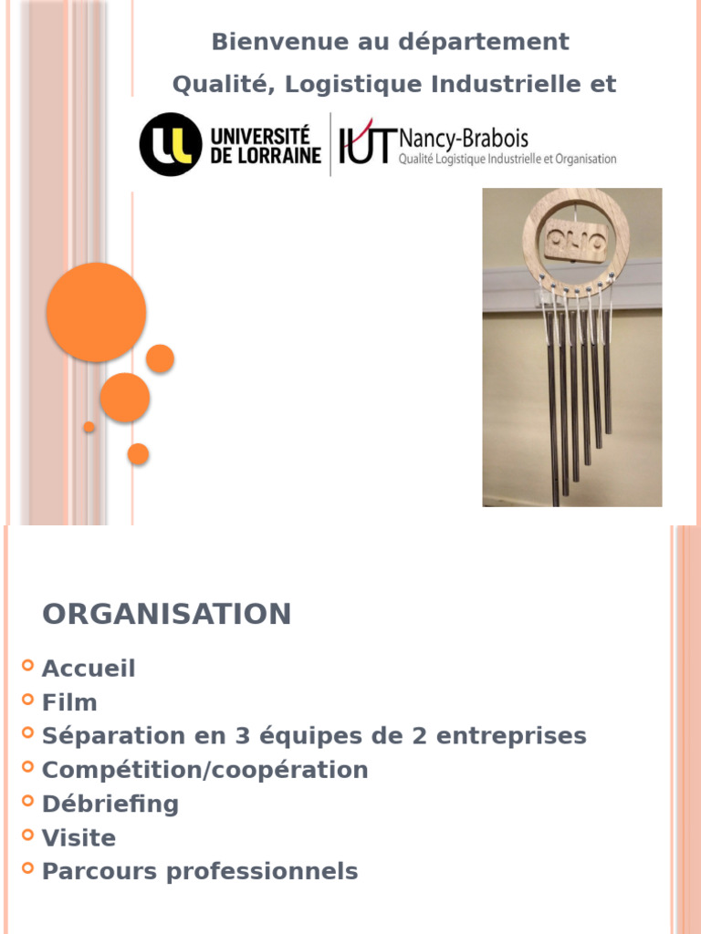 Animation QLIO IUT NB Carillon 2016 | PDF | Logistique
