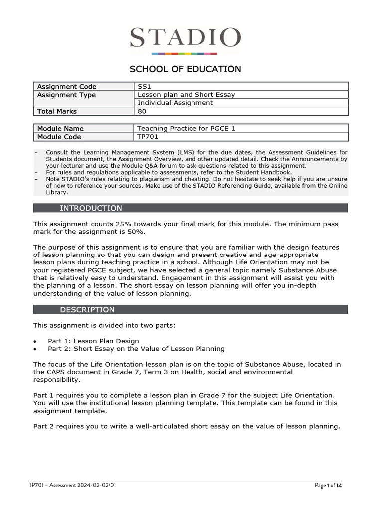 STADIO+Assignment+Template_TP701-SS1+2024 | PDF