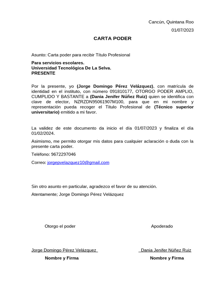 Carta Poder Jorge | PDF