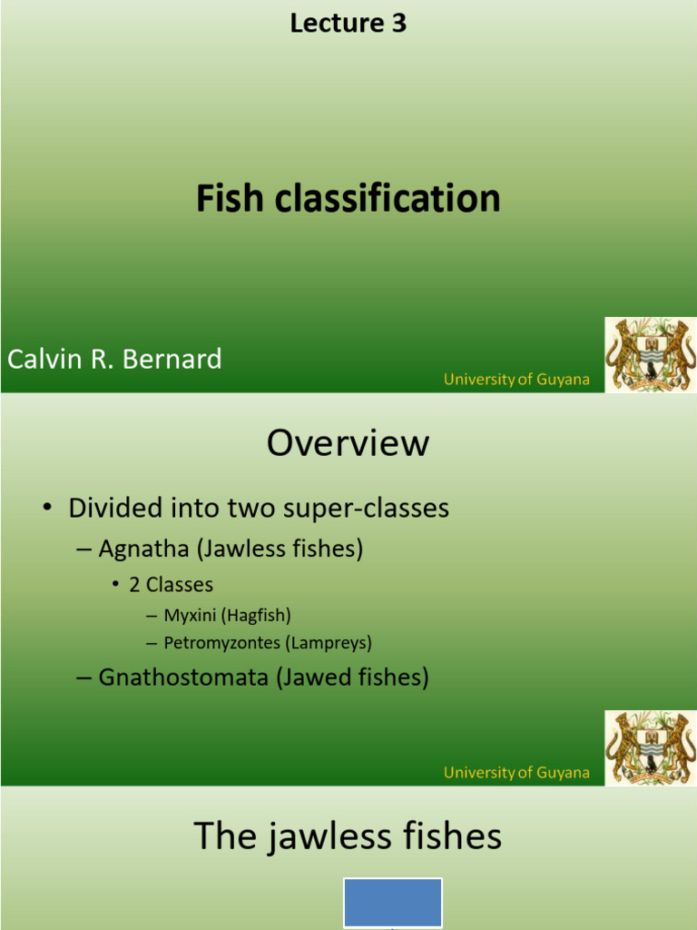 Fish Classification | PDF