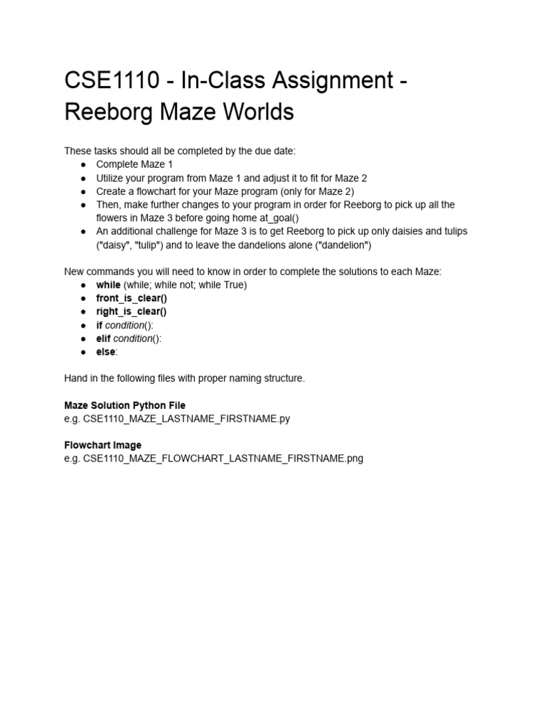 Programming Maze Assignment | PDF