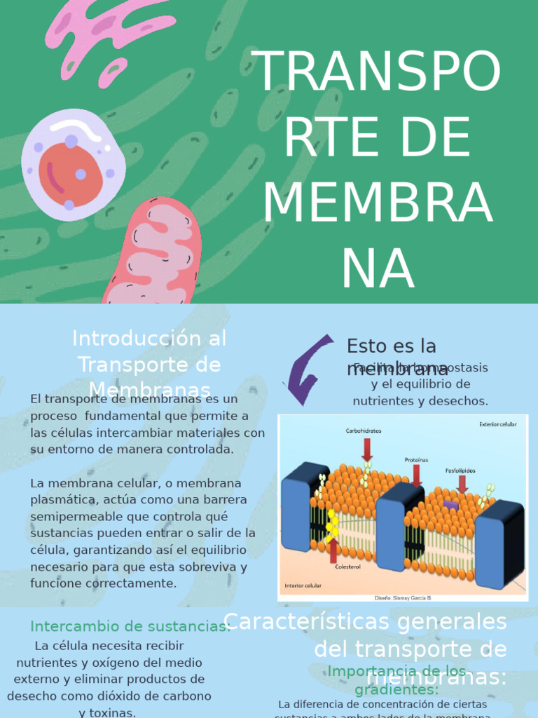 Transporte de Membranas | PDF