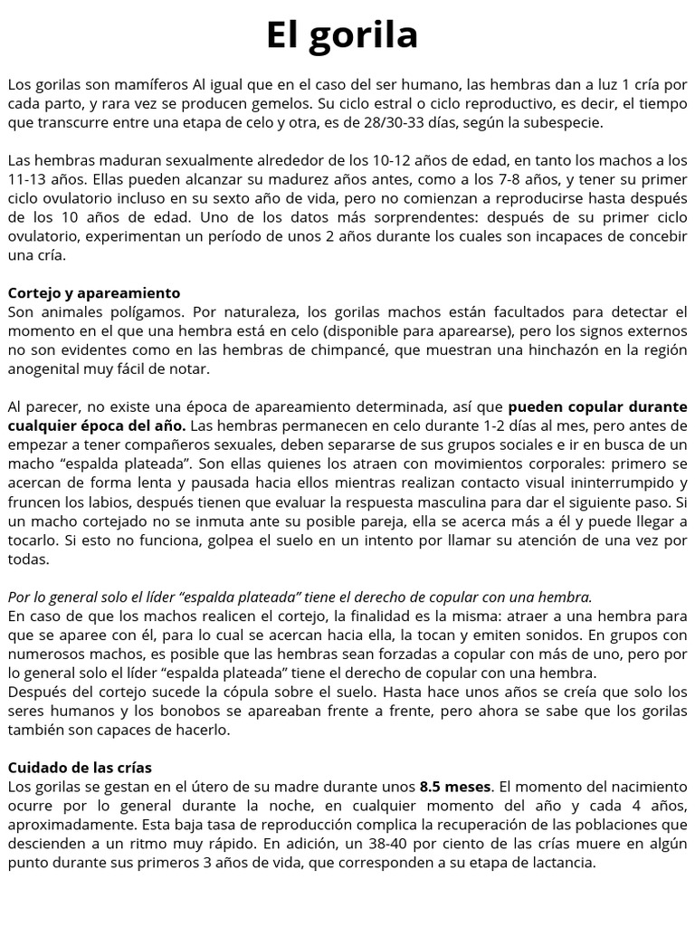 El Gorila | PDF