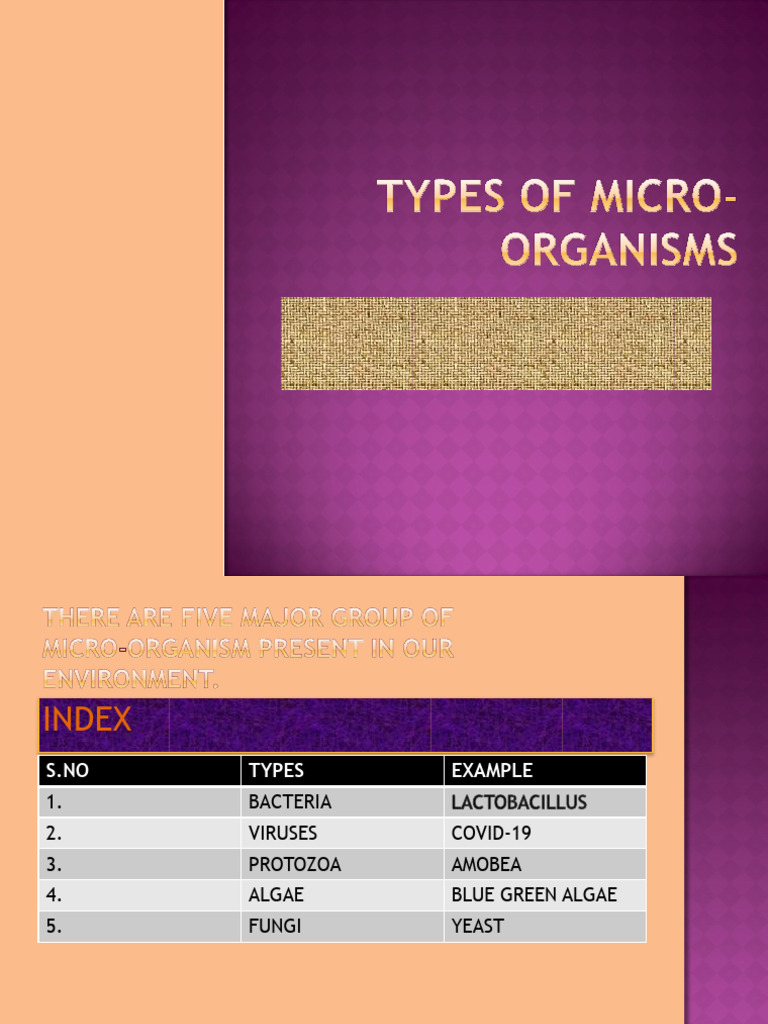 Types of Micro-Organisms Class 7 New Last Changes | PDF
