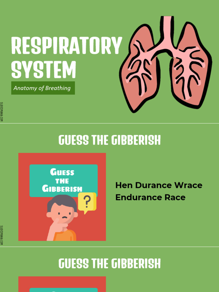 Lesson 1 1 Respiratory System 2 Pdf