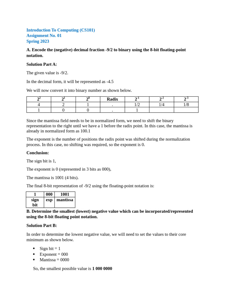 Assignment CS101 | PDF