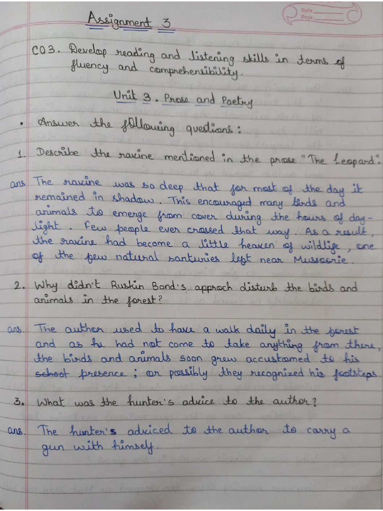 English Assignment 3 | PDF