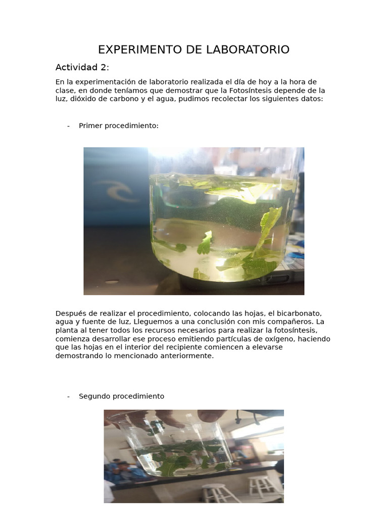 Experimento de Laboratorio | PDF